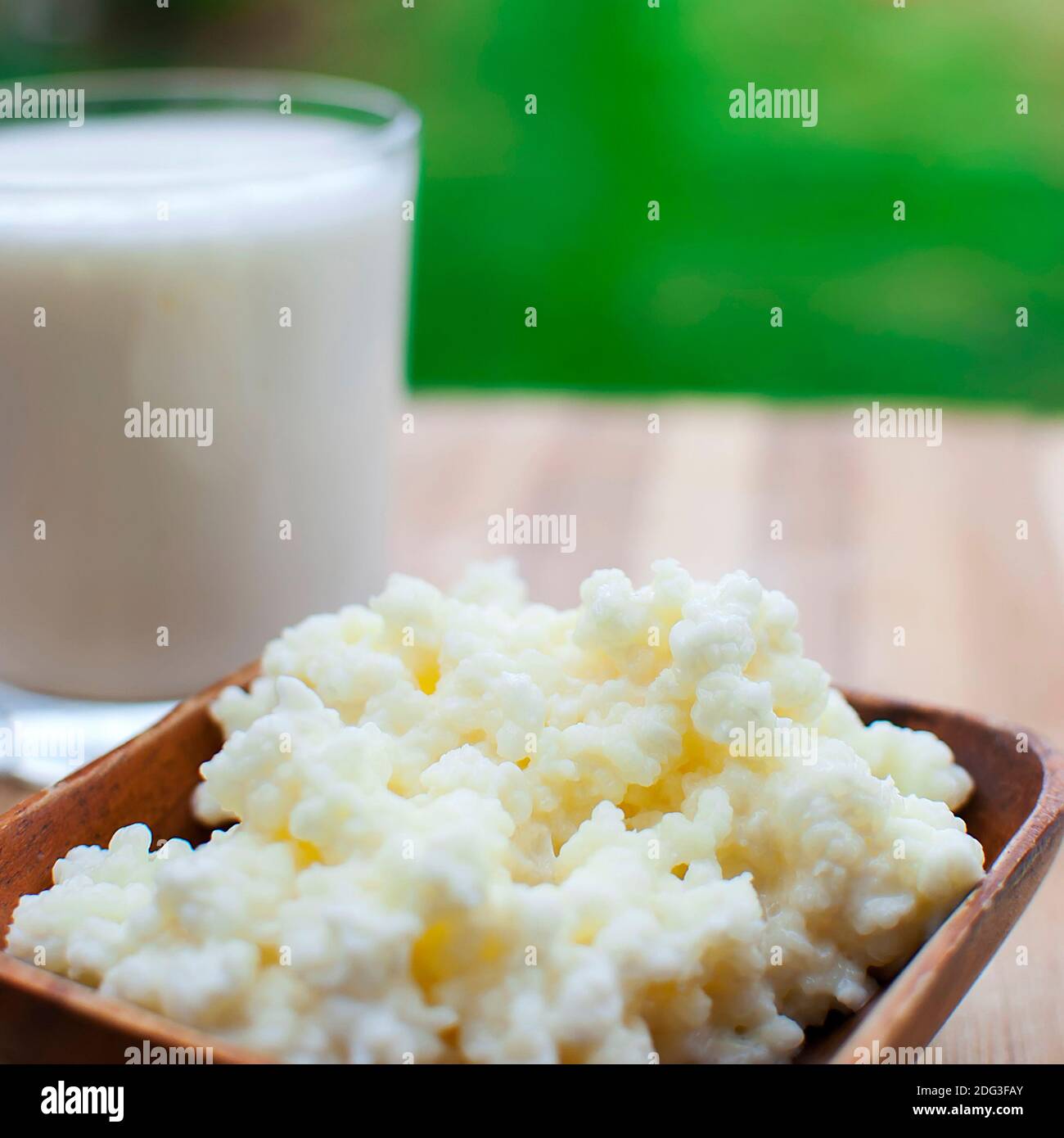 Kefir mushroom hi-res stock photography and images - Alamy
