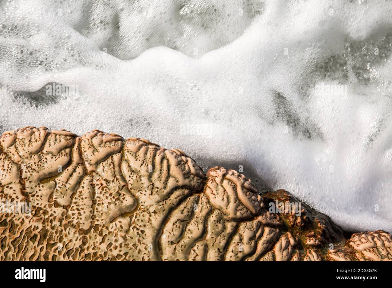 Abstract natural rocky background of the stones with spring water ...