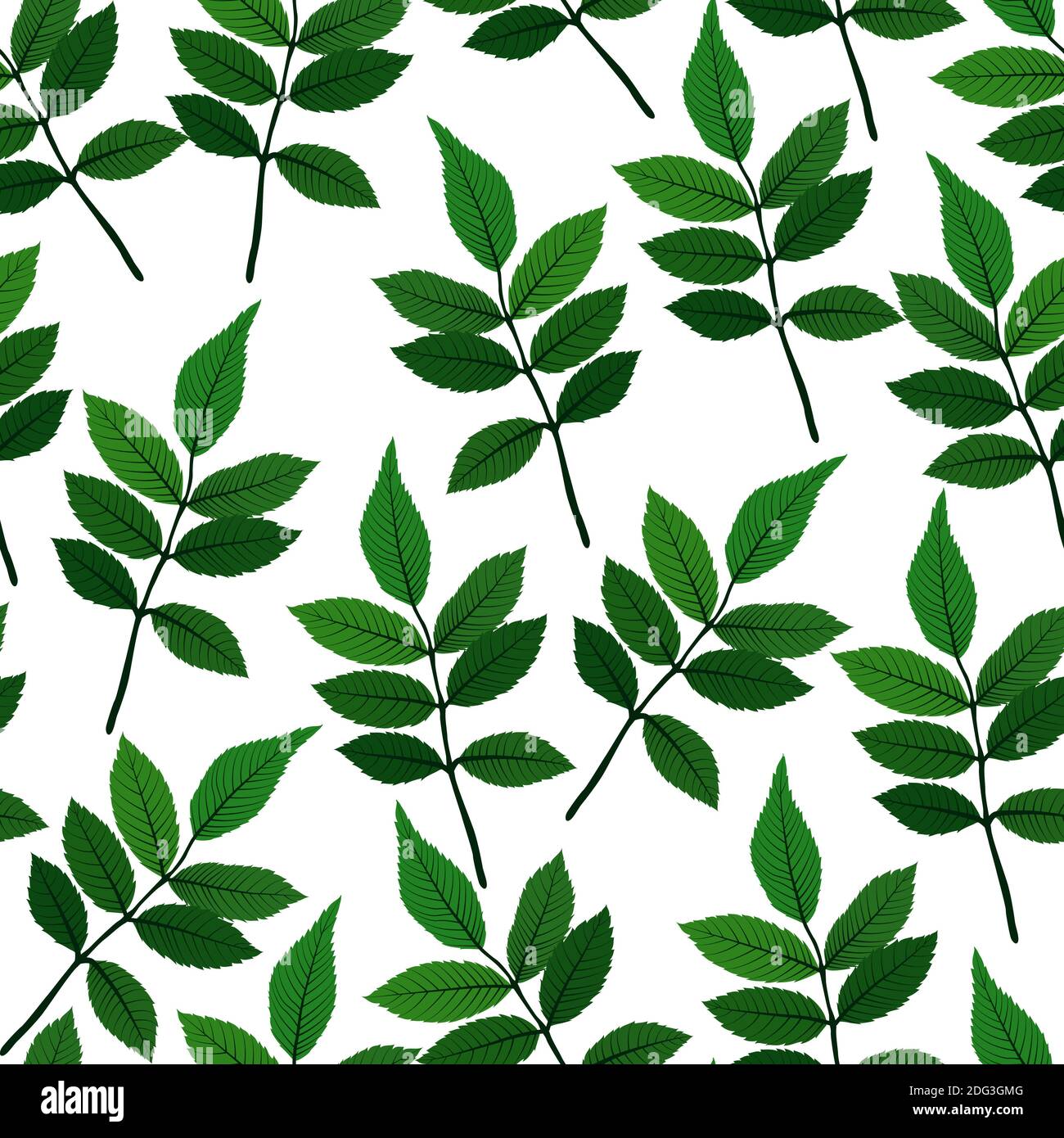 Silhouette of beautiful leaves. Seamless Pattern Background ...