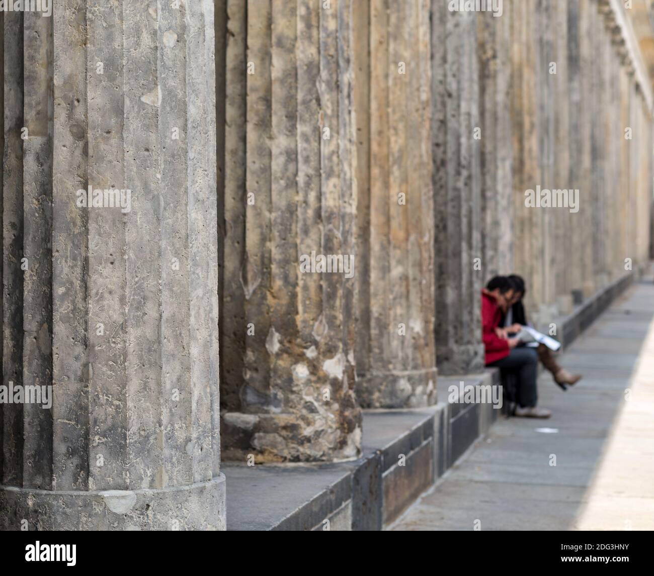 On the lookout Stock Photo - Alamy