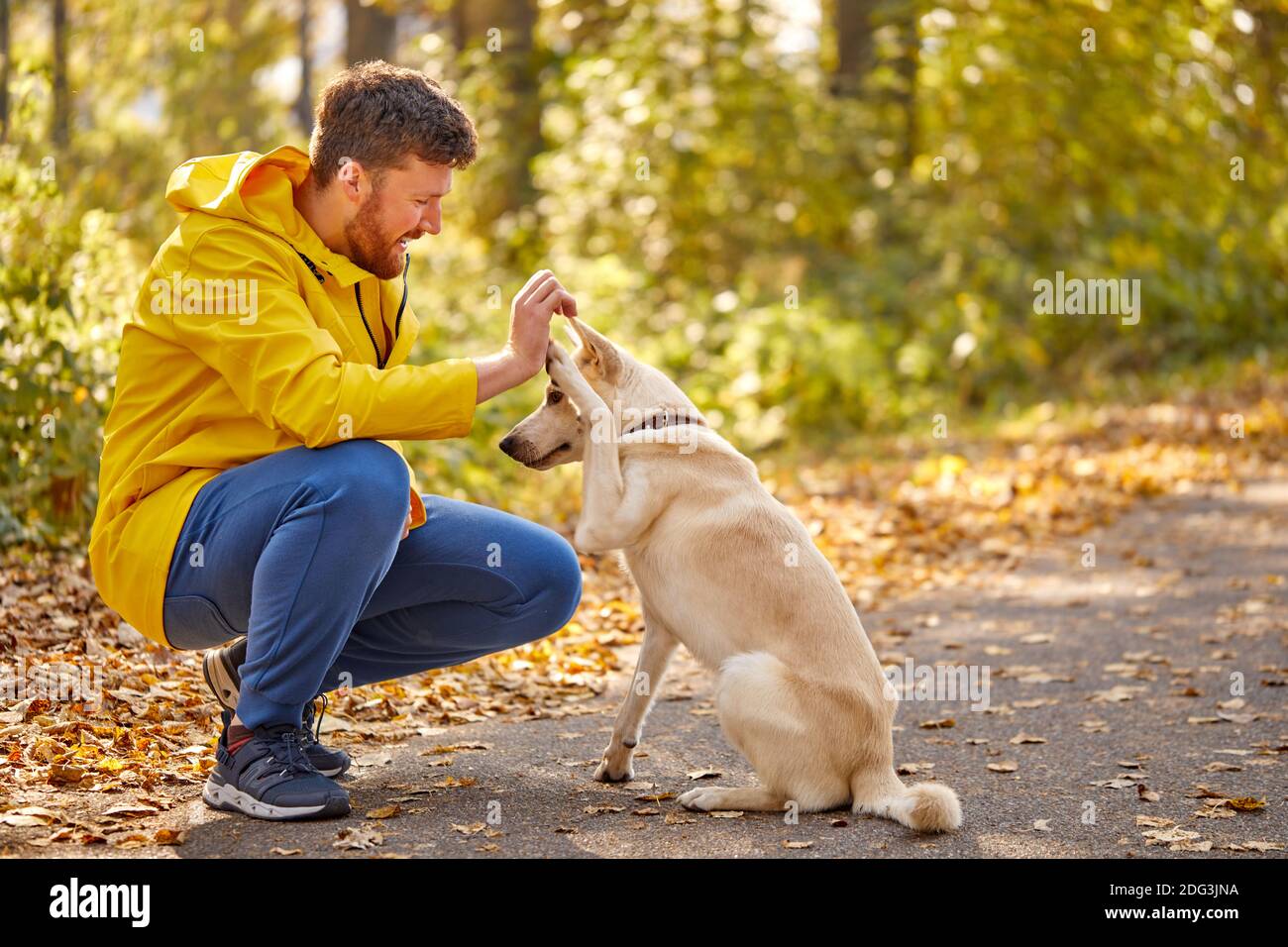 side view on man playing with his pet dog in the forest, autumn sunny ...