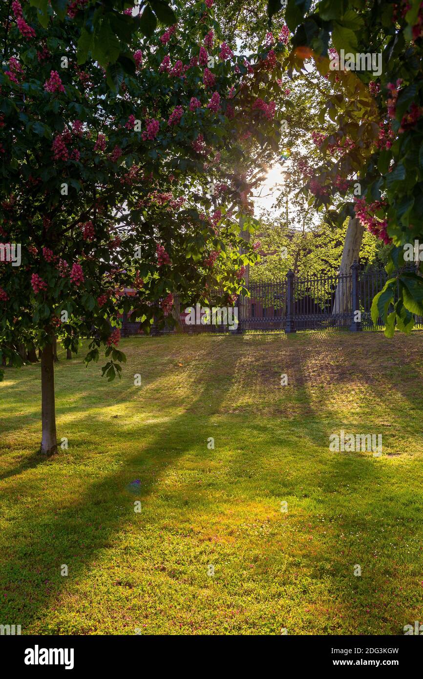 Lawn sunbathing hi-res stock photography and images - Alamy