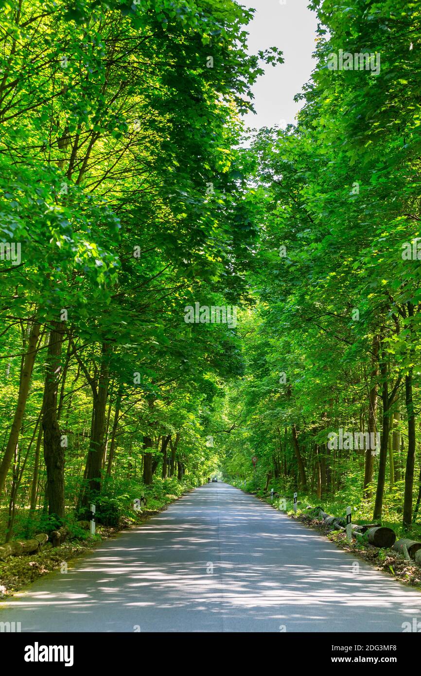 Road and vegetation hi-res stock photography and images - Alamy