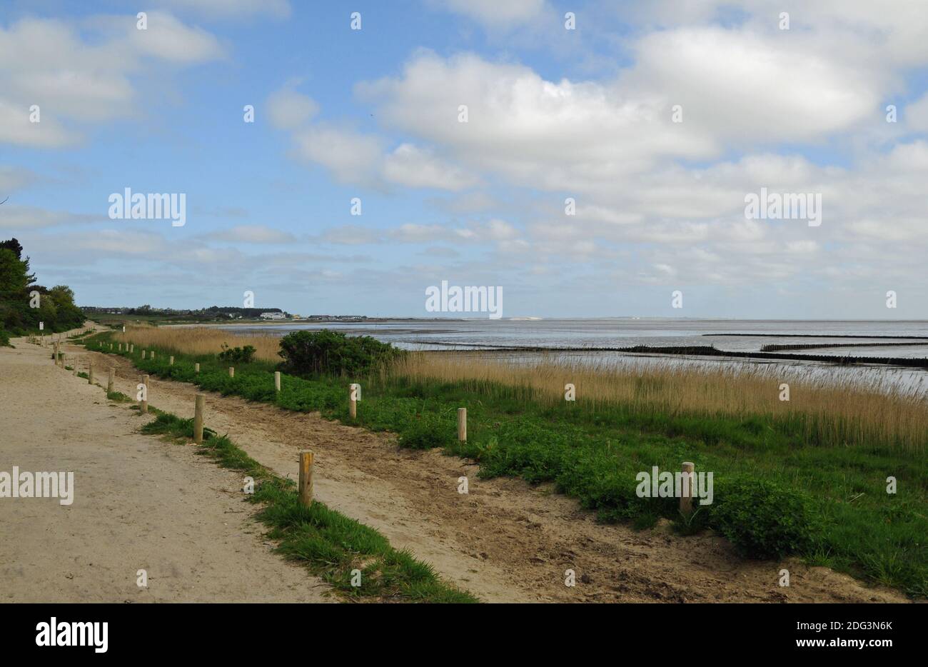 Munk hi-res stock photography and images - Alamy