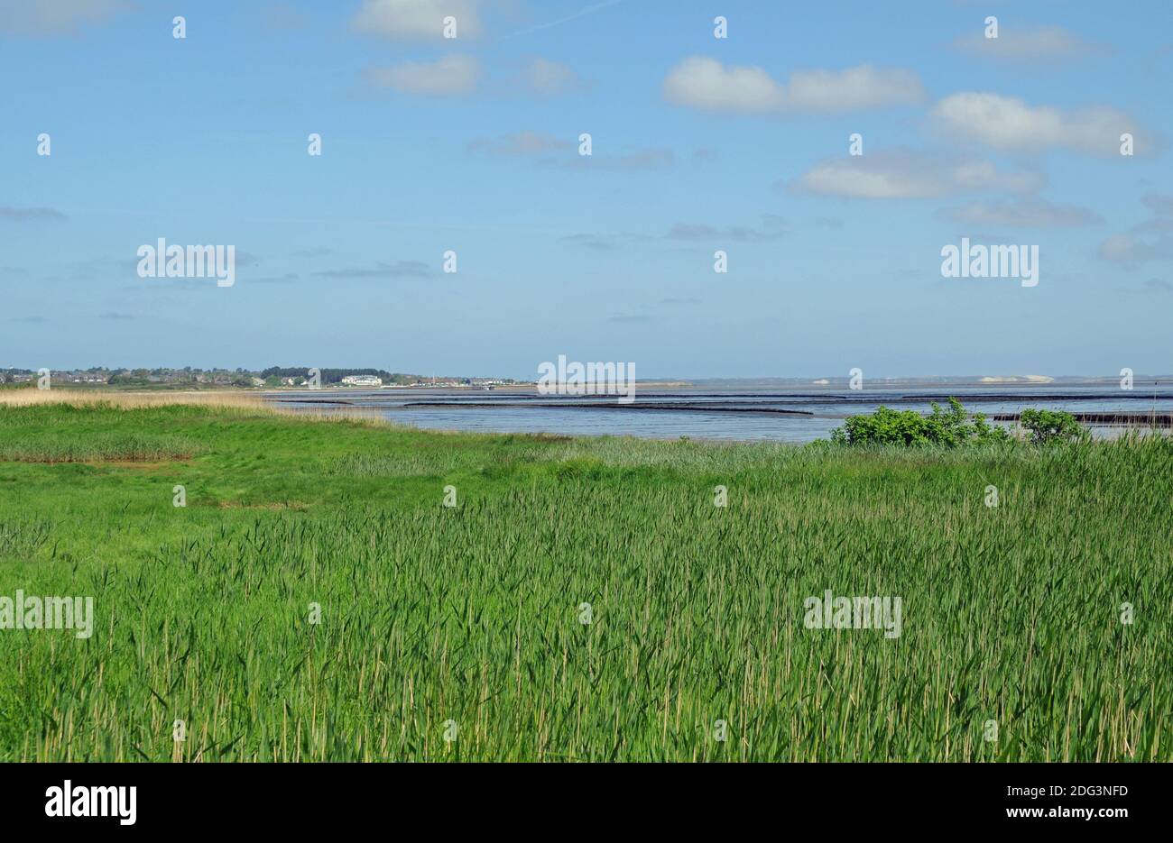 Munk hi-res stock photography and images - Alamy