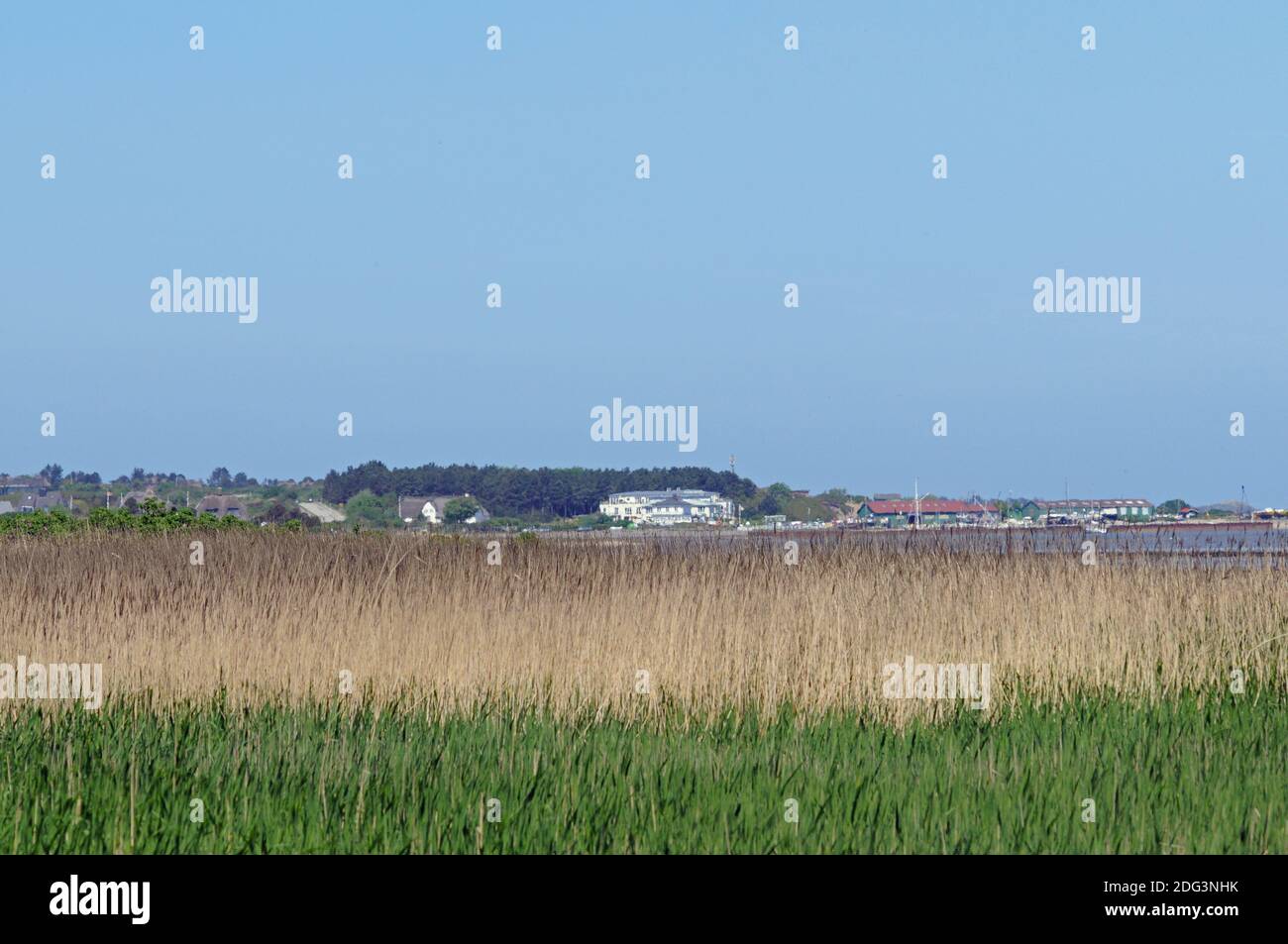 Munk hi-res stock photography and images - Alamy