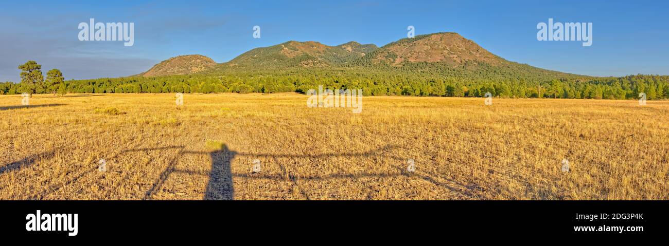 Bill Williams Mountain Man