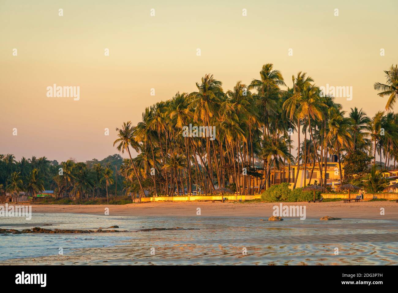 Palm trees at beach at sunset, Chaung Tha Beach, Pathein, Myanmar Stock ...