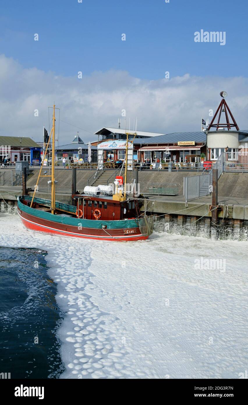 Algae carpet hi-res stock photography and images - Alamy