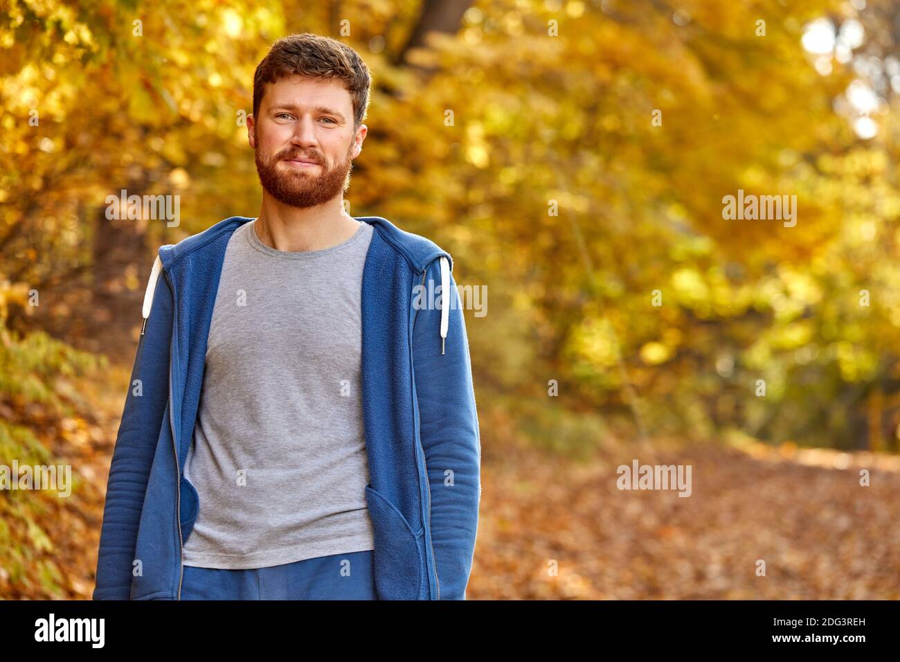 bearded man walking in the autumn yellow park, looking at camera ...