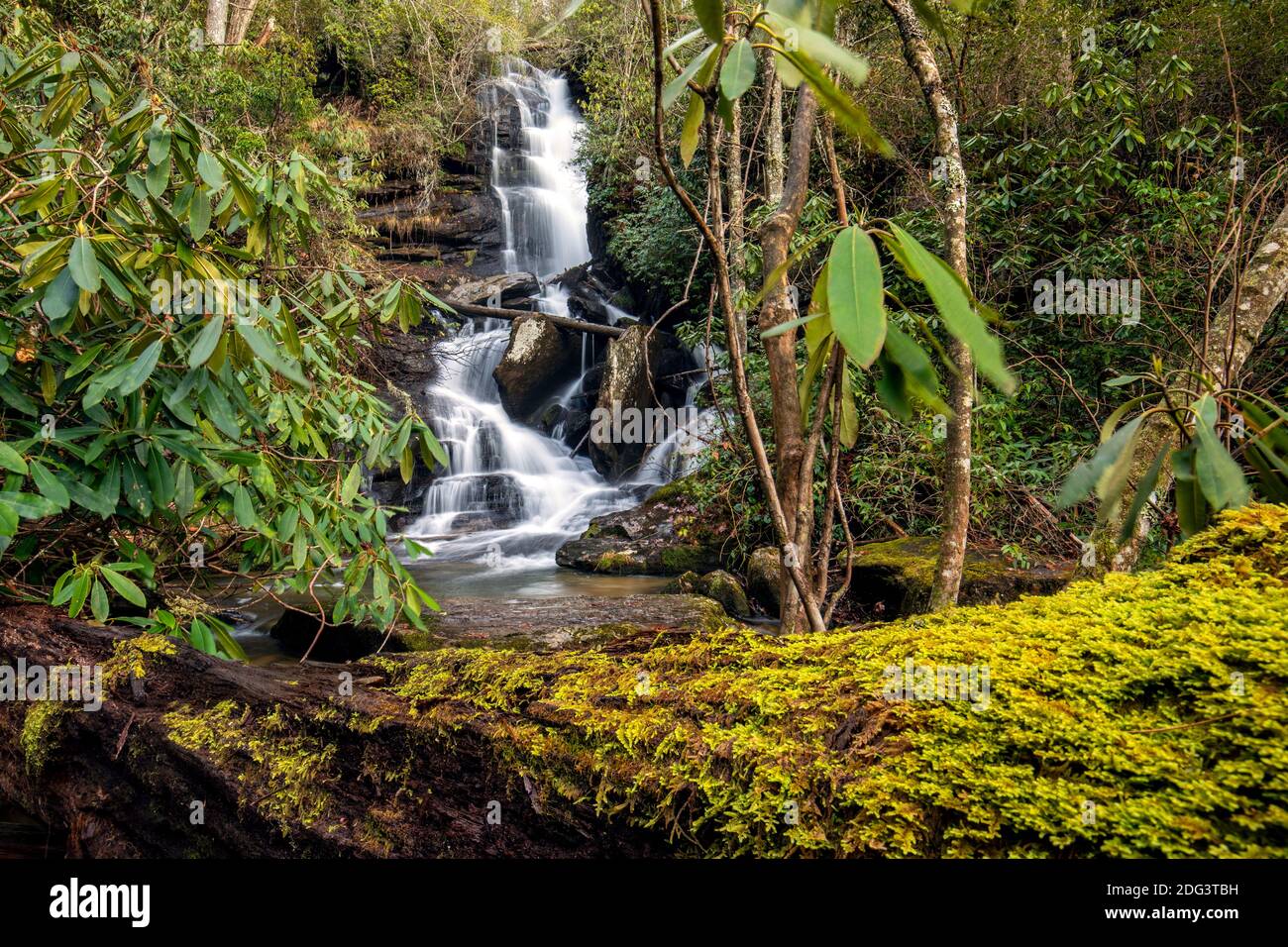 Reece Place Falls - Headwaters State Forest, near Brevard, North Carolina, USA Stock Photo - Alamy