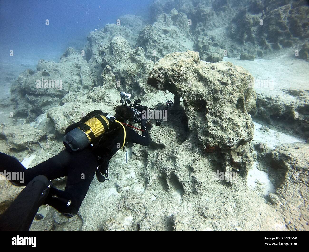 Pro underwater photographer trying to have good photo Stock Photo - Alamy