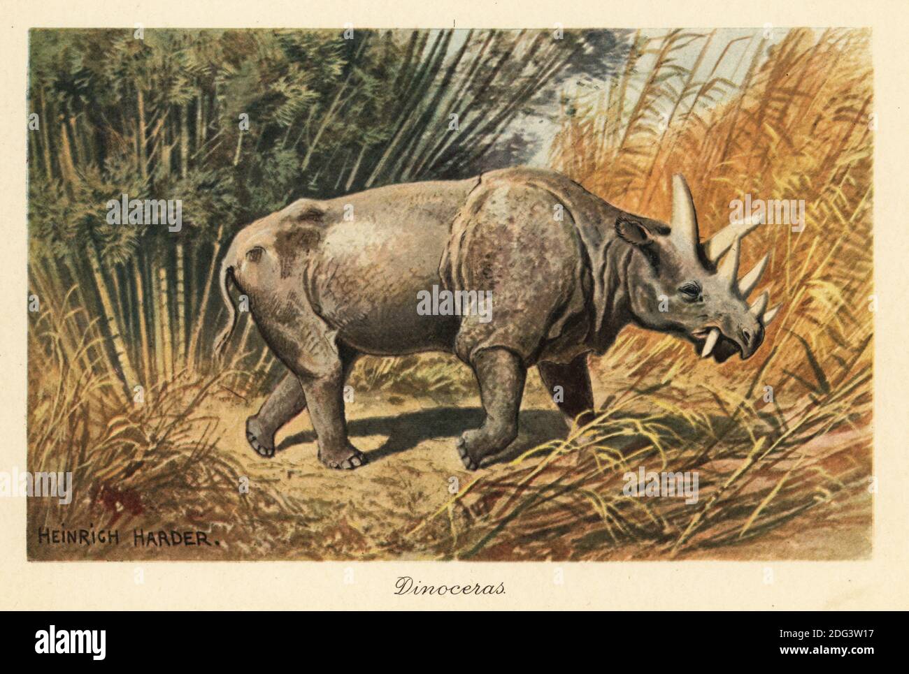 Eocene Epoch Animals