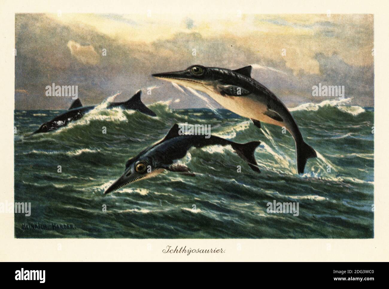 Extinct ichthyosaurs, Ichthyosaurus communis, jumping above the ocean ...