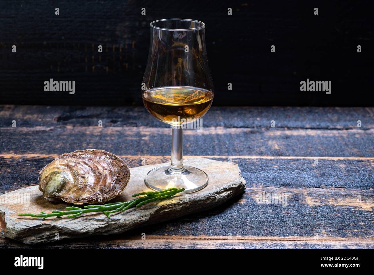 Food and drink pairing, Fresh raw European flat oysters grown in ...