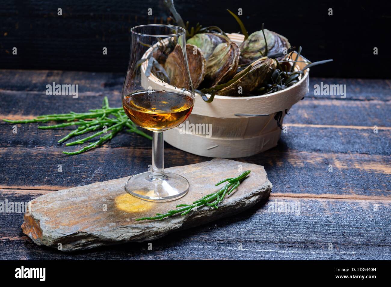 Food and drink pairing, Fresh raw European flat oysters grown in ...