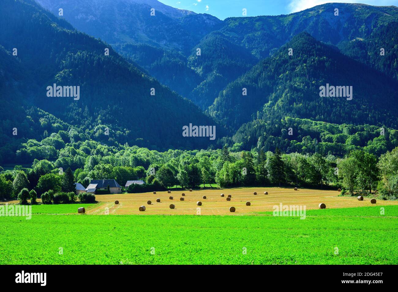 Green meadows and fresh hay in French Prealps, nature background ...