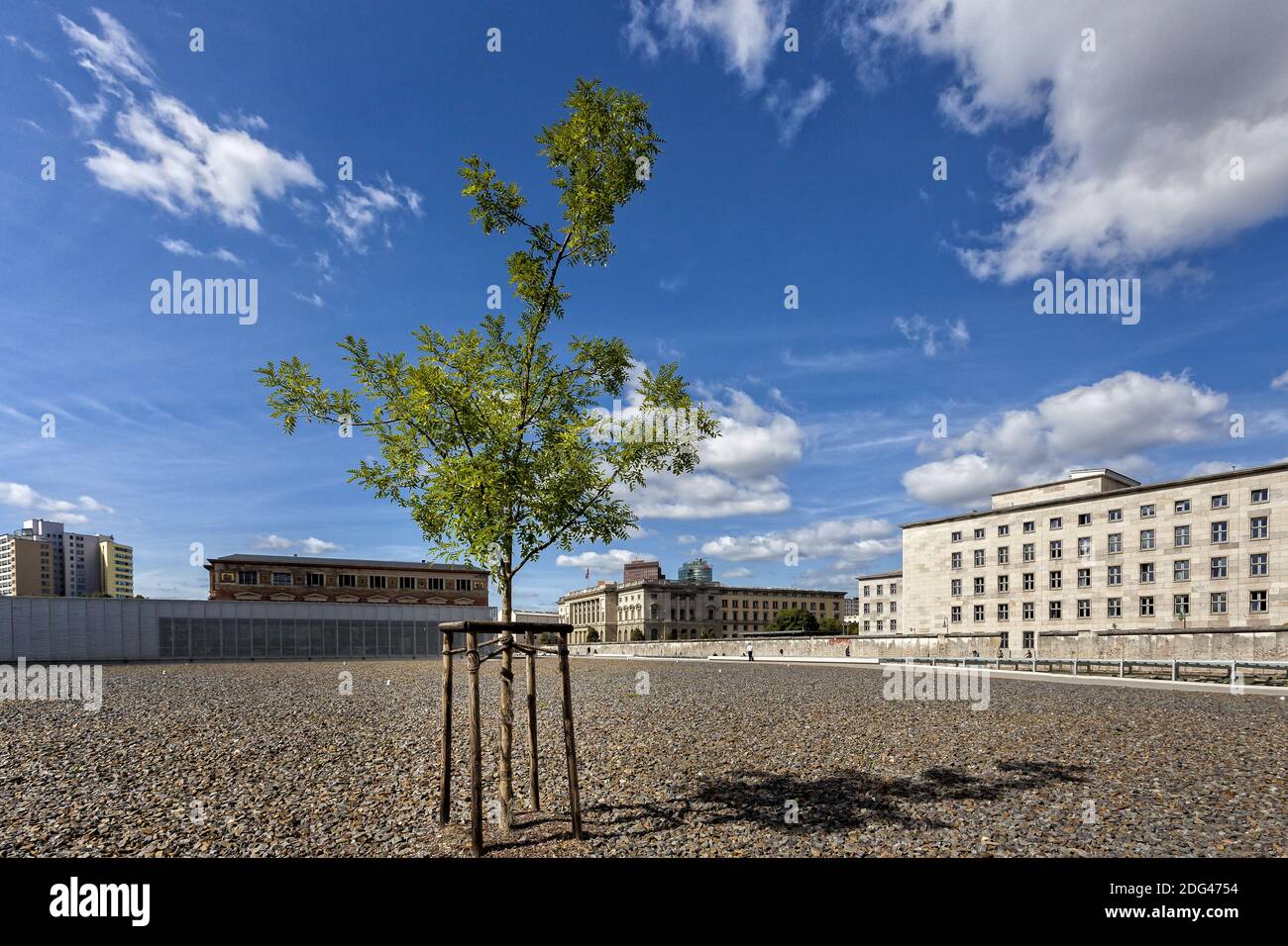 Replanted hi-res stock photography and images - Alamy