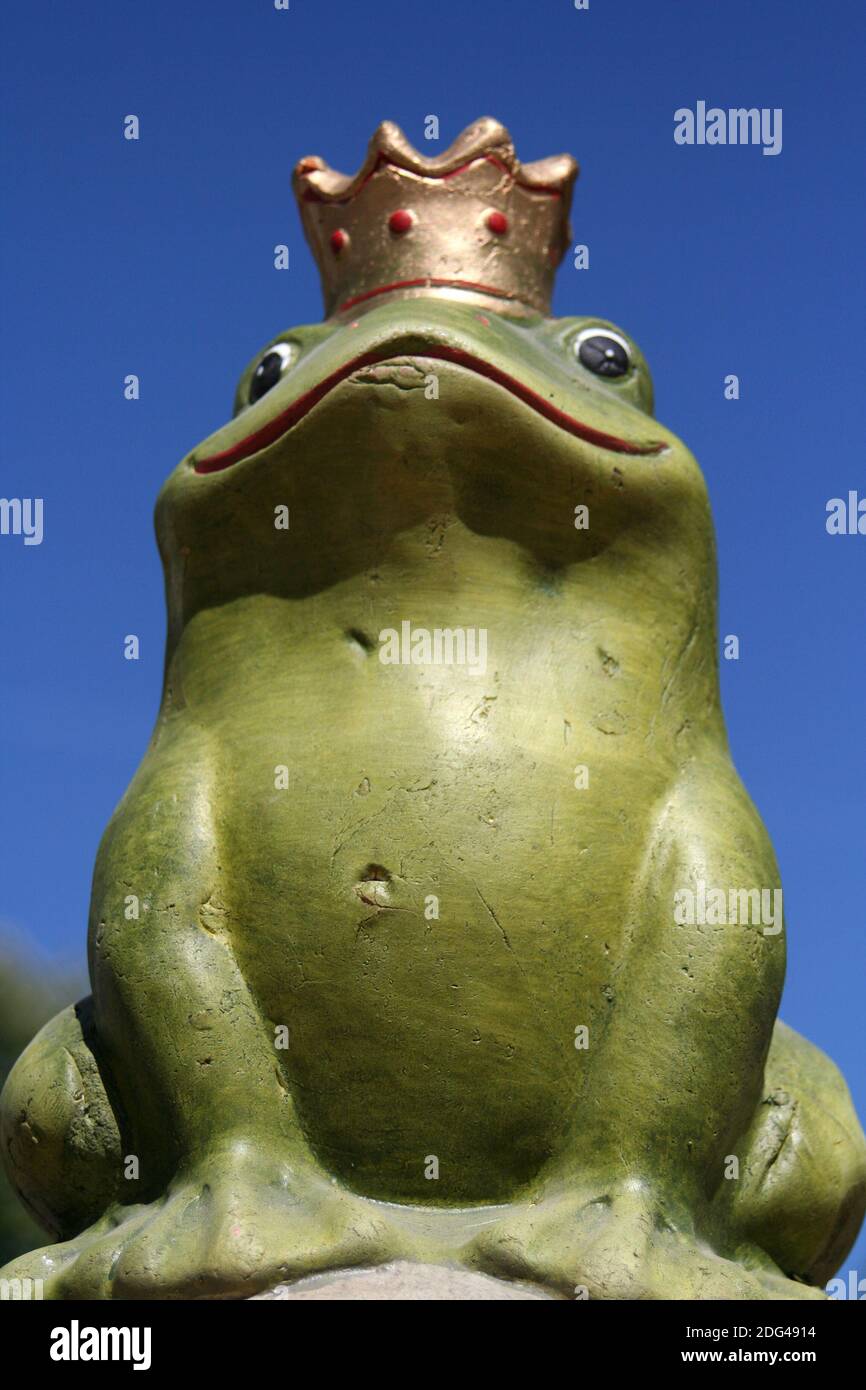 The king frog hi-res stock photography and images - Alamy