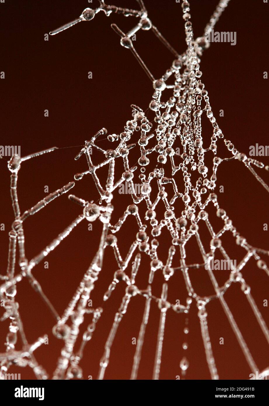 Icy dew hi-res stock photography and images - Alamy