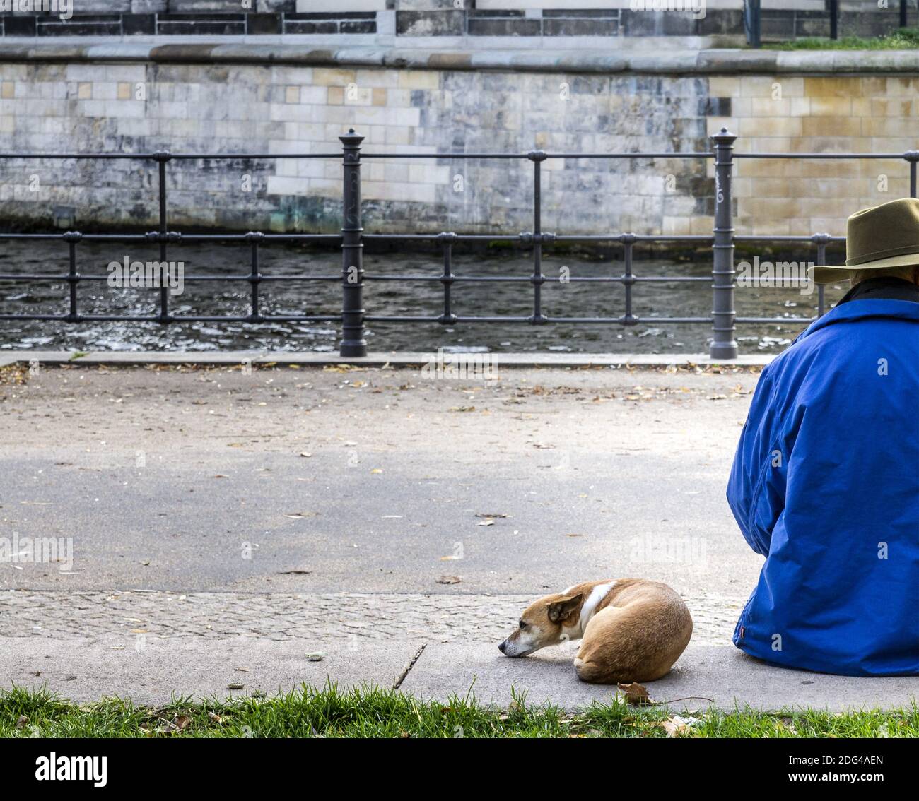 Dog and master Stock Photo - Alamy