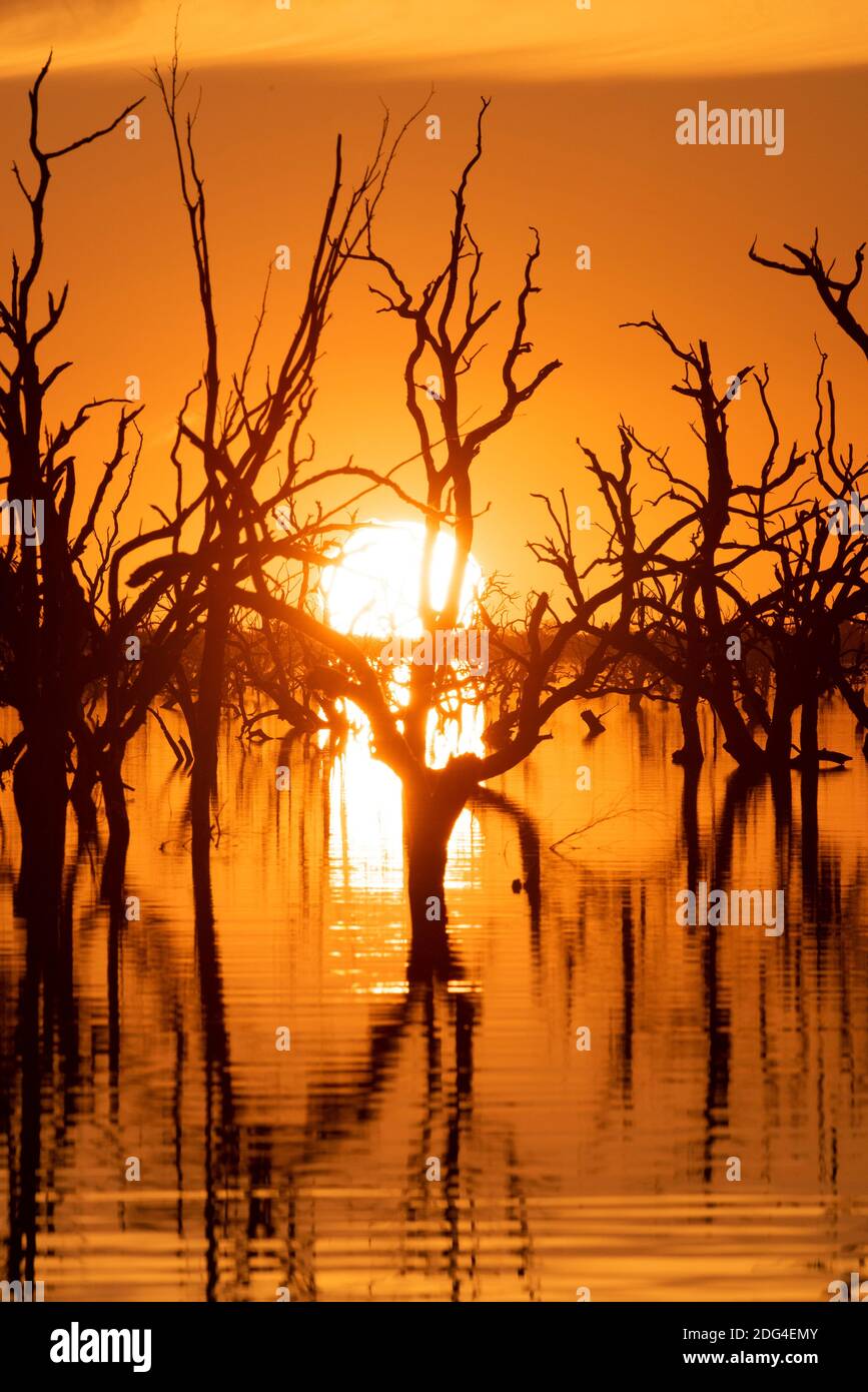 Menindee lakes in the far west of New South Wales, Australia Stock ...