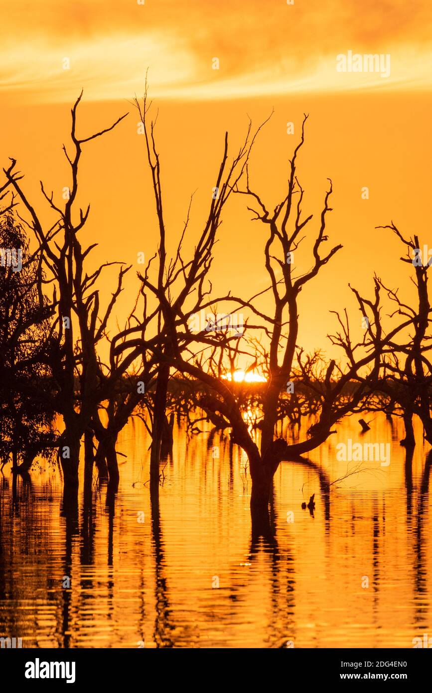 Menindee lakes in the far west of New South Wales, Australia Stock ...