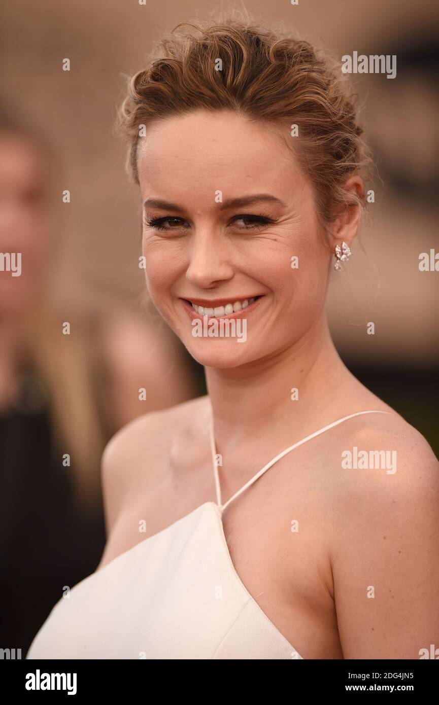 Brie Larson attends the 23rd Annual Screen Actors Guild Awards held at ...