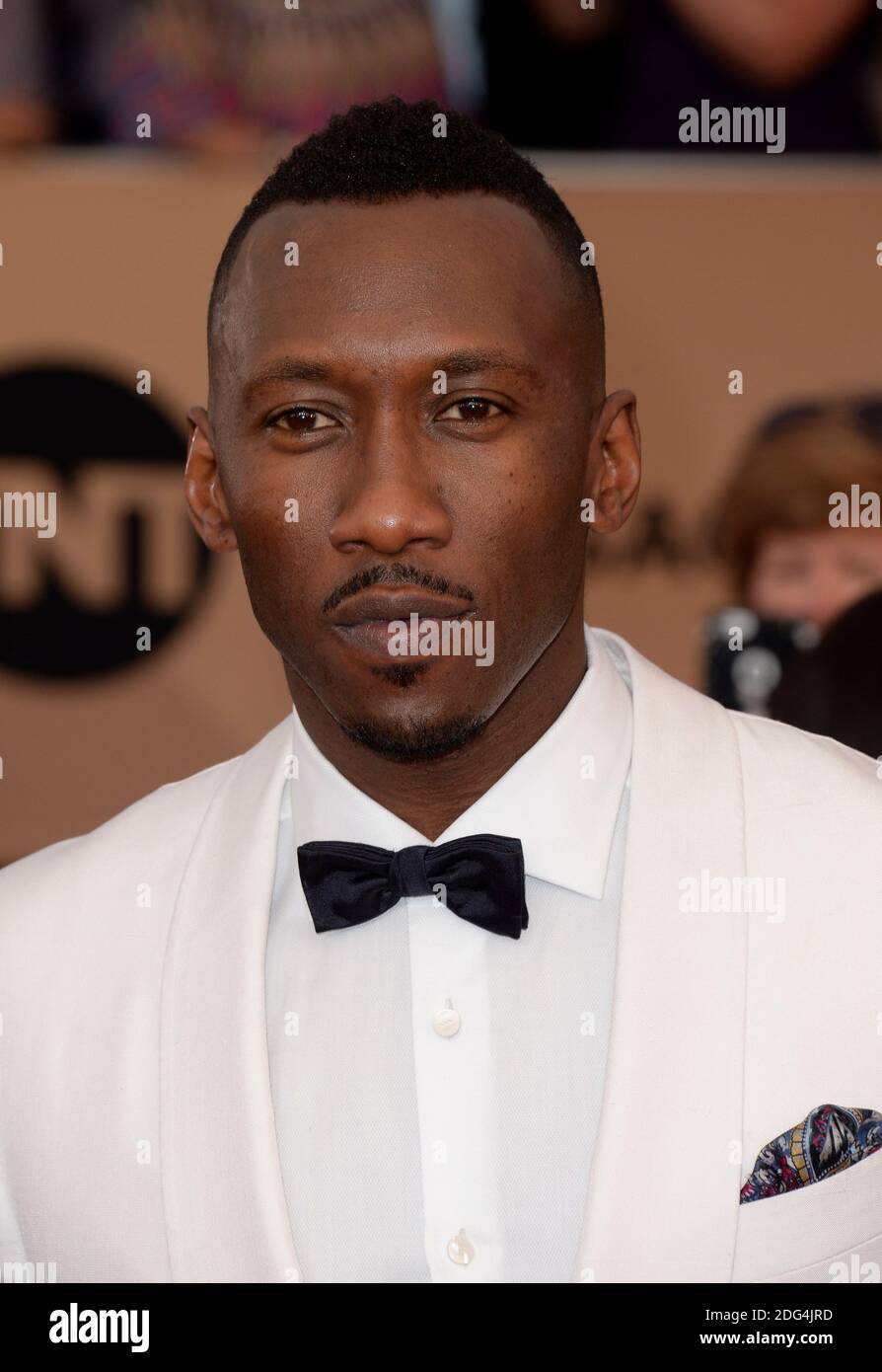 Mahershala Ali attends the 23rd Annual Screen Actors Guild Awards held at the Shrine Auditorium ...
