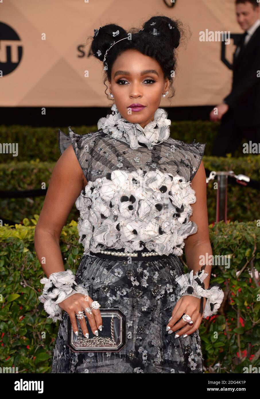 Janelle Monáe attends the 23rd Annual Screen Actors Guild Awards held ...