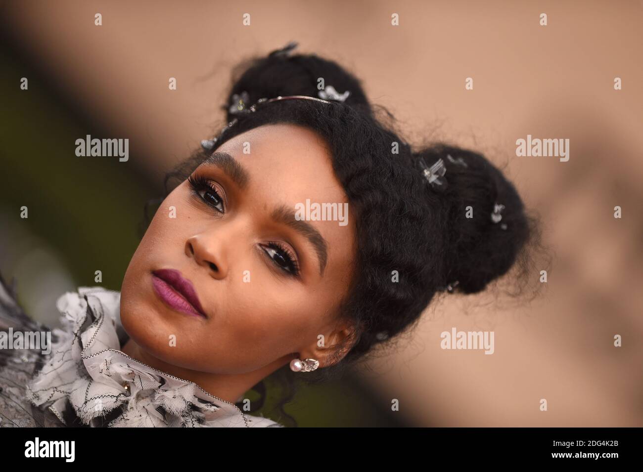 Janelle Monáe attends the 23rd Annual Screen Actors Guild Awards held ...