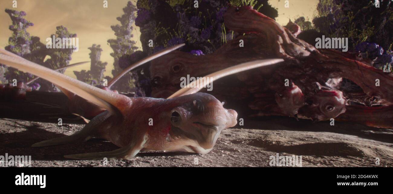 ALIEN WORLDS, 'Atlas', (Season 1, ep. 101, aired Dec. 2, 2020). photo ...