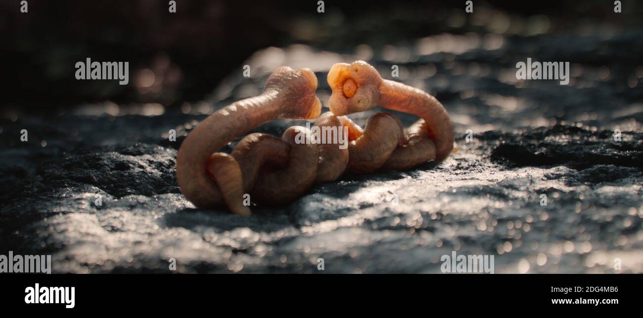 ALIEN WORLDS, 'Eden', (Season 1, ep. 103, aired Dec. 2, 2020). photo ...