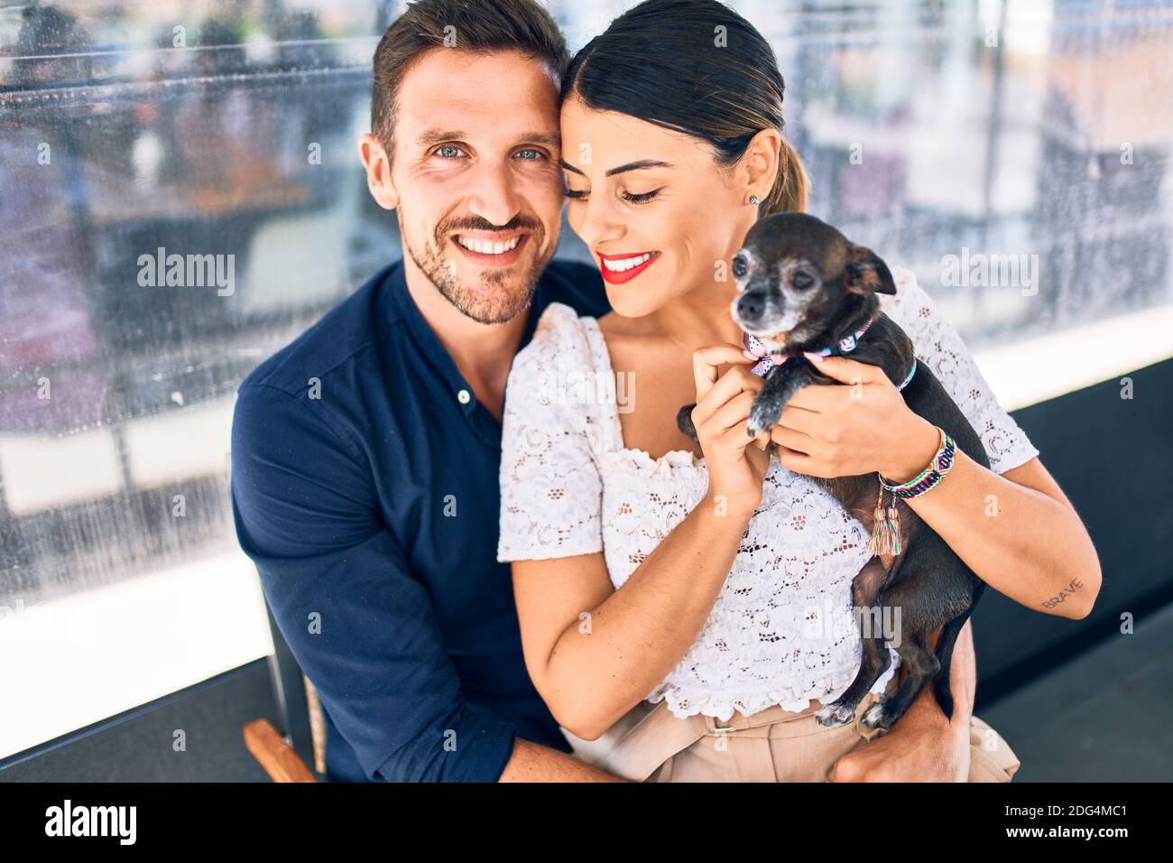 Young beautiful couple smiling happy and confident holding chihuahua ...