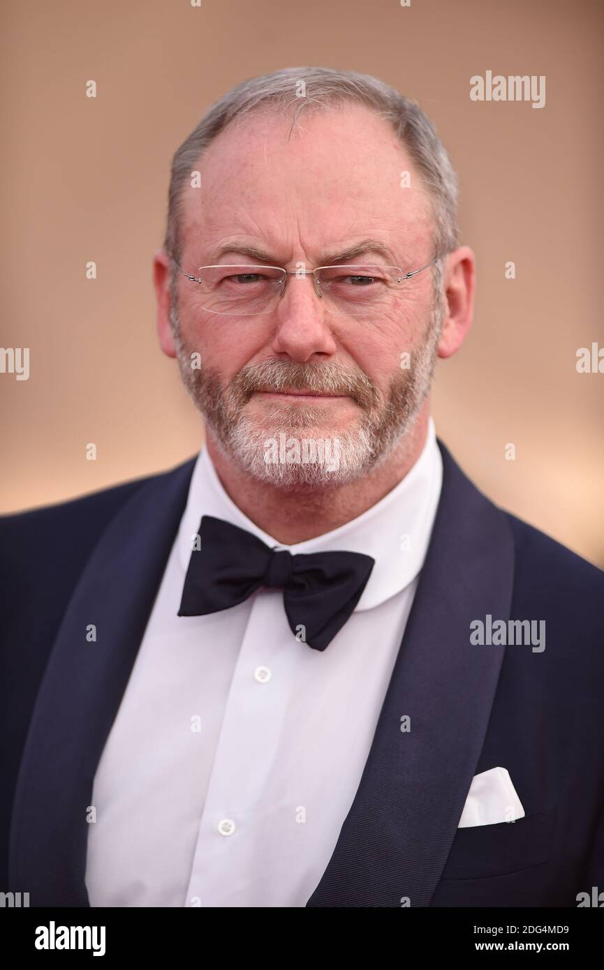 Liam Cunningham attends the 23rd Annual Screen Actors Guild Awards held ...