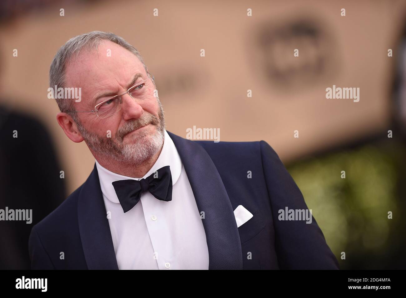 Liam Cunningham attends the 23rd Annual Screen Actors Guild Awards held ...