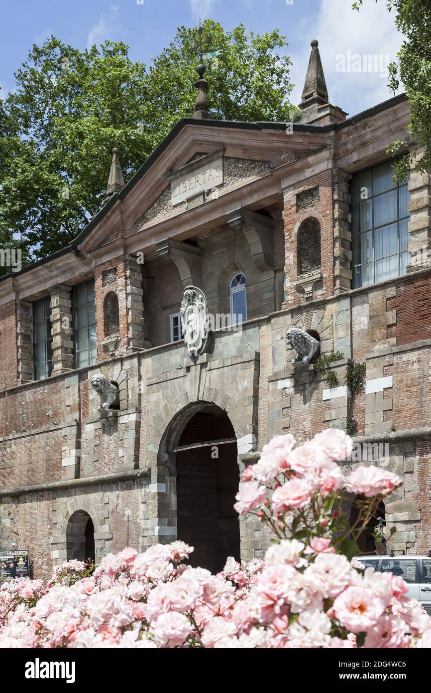 Lucca, City gate Porta San Pietro, Tuscany, Italy Stock Photo - Alamy