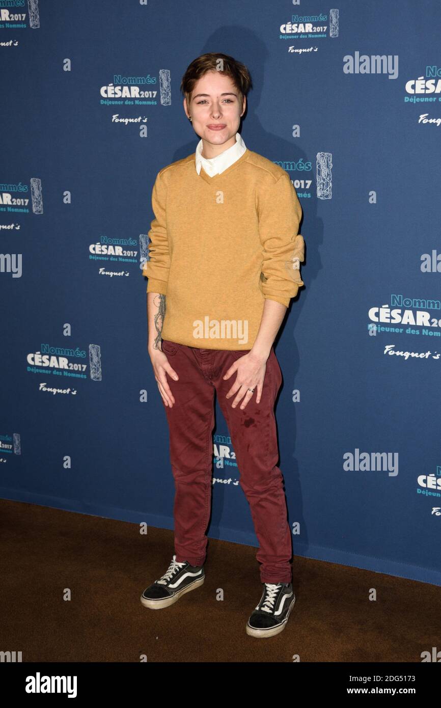 Raph attending Nominee Luncheon Cesar 2017 at Le Fouquet's in Paris ...