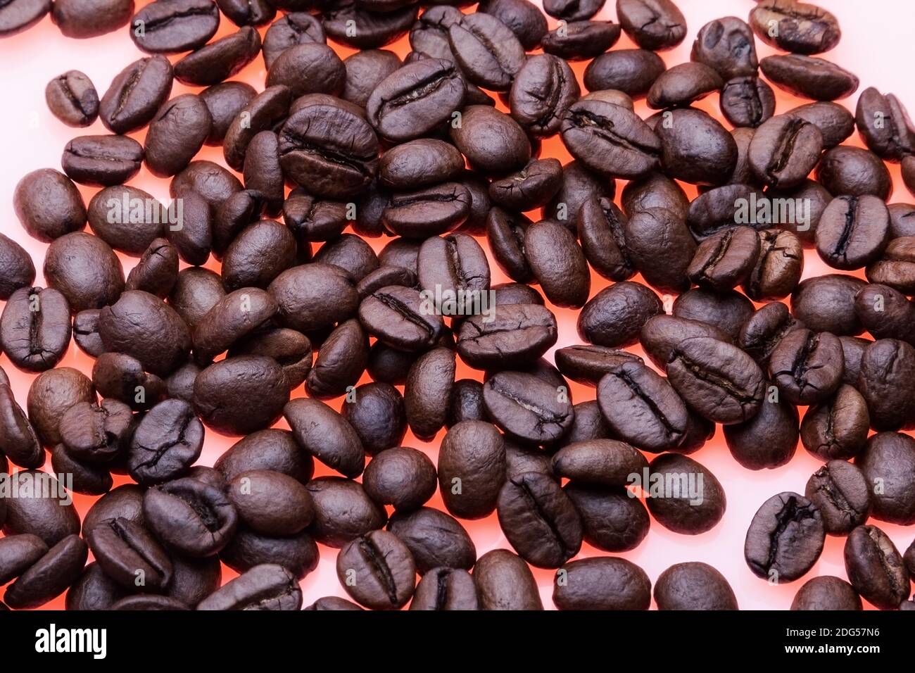 Beautiful coffee seeds hi-res stock photography and images - Alamy