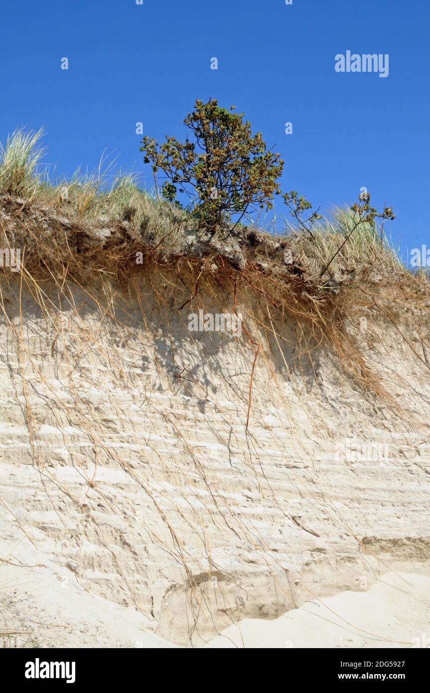 Scarp hi-res stock photography and images - Alamy