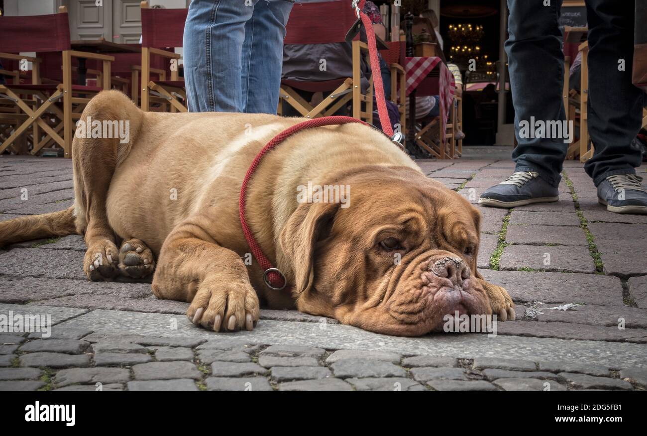 Chill cool hi-res stock photography and images - Alamy