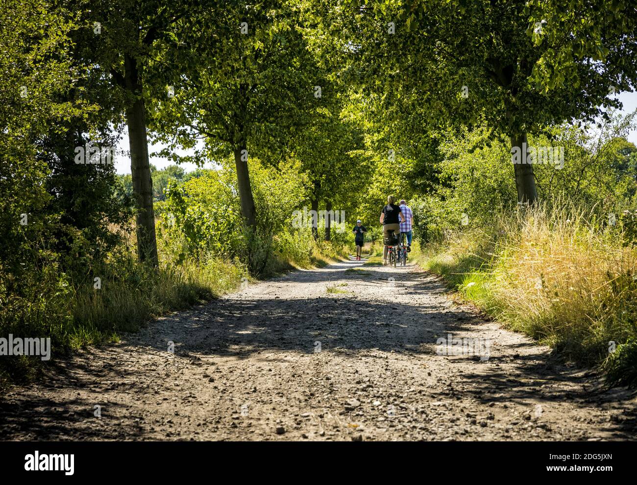 On the dirt road Stock Photo - Alamy