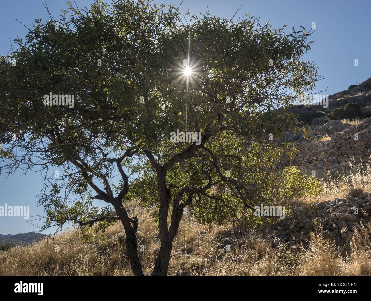 Ray of hope hi-res stock photography and images - Alamy