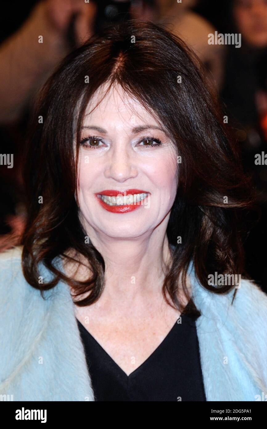 Iris berben 2017 hi-res stock photography and images - Alamy