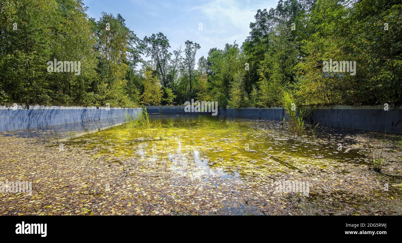 Forest swimming pool Stock Photo - Alamy