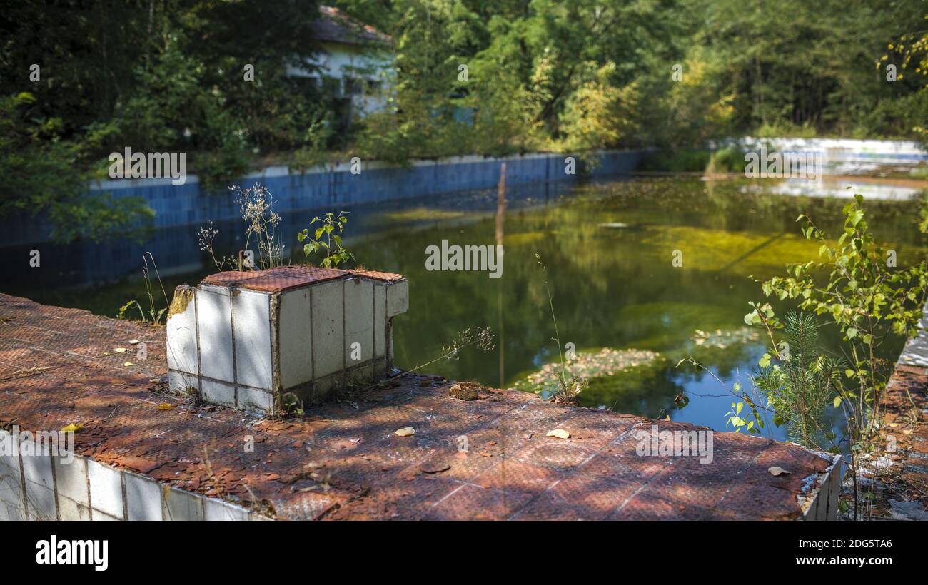 Forest swimming pool hi-res stock photography and images - Alamy