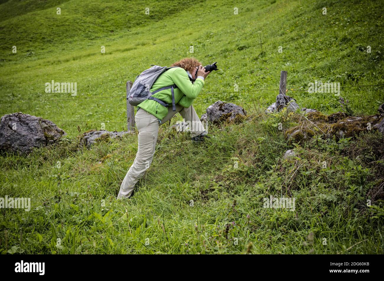 Motif search hi-res stock photography and images - Alamy