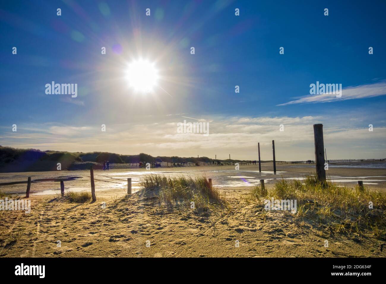 Autumn soone on the beach Stock Photo - Alamy