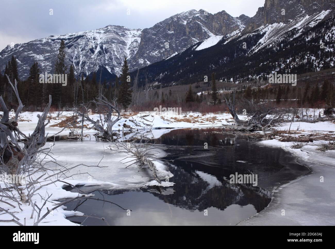 Yamnuska hi-res stock photography and images - Alamy