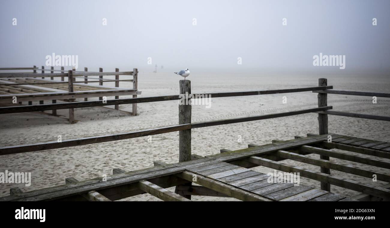 Single pedestrian hi-res stock photography and images - Alamy